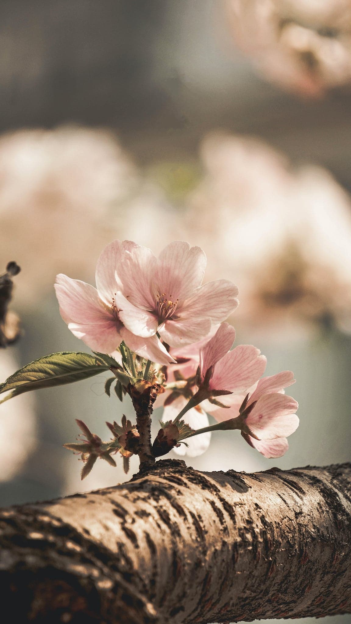 Get to Know Me: Let’s Talk About Spirituality - MindMoodPsychoNutrition
